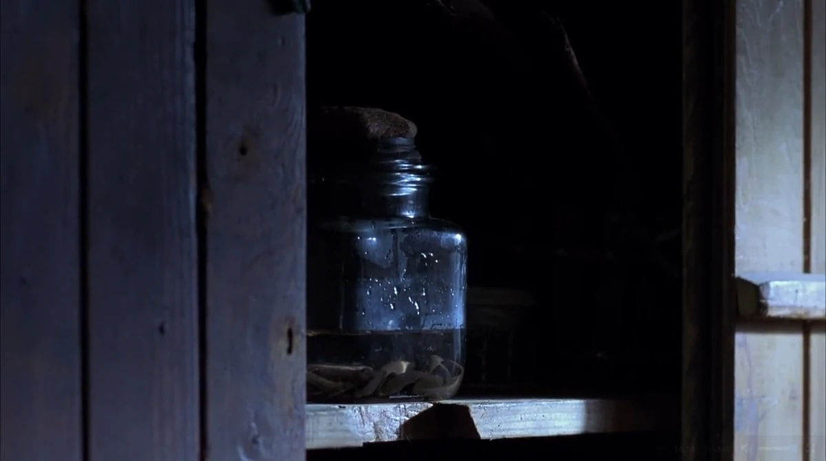 Leeches | Ginger Snaps Wiki | Fandom