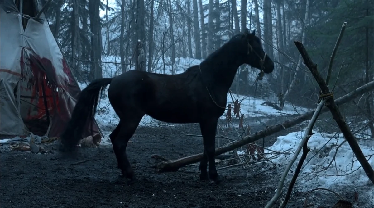 Liberty Horse | Ginger Snaps Wiki | Fandom