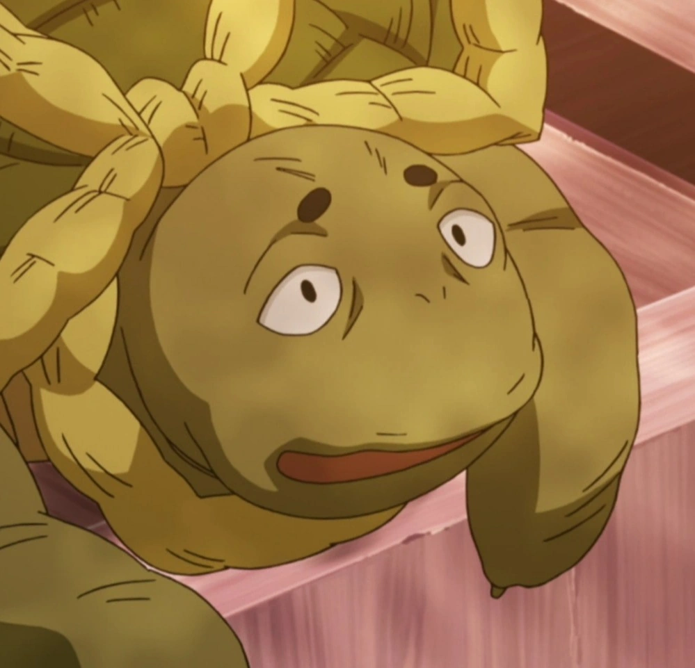 Turtle | Gingitsune Wiki | Fandom