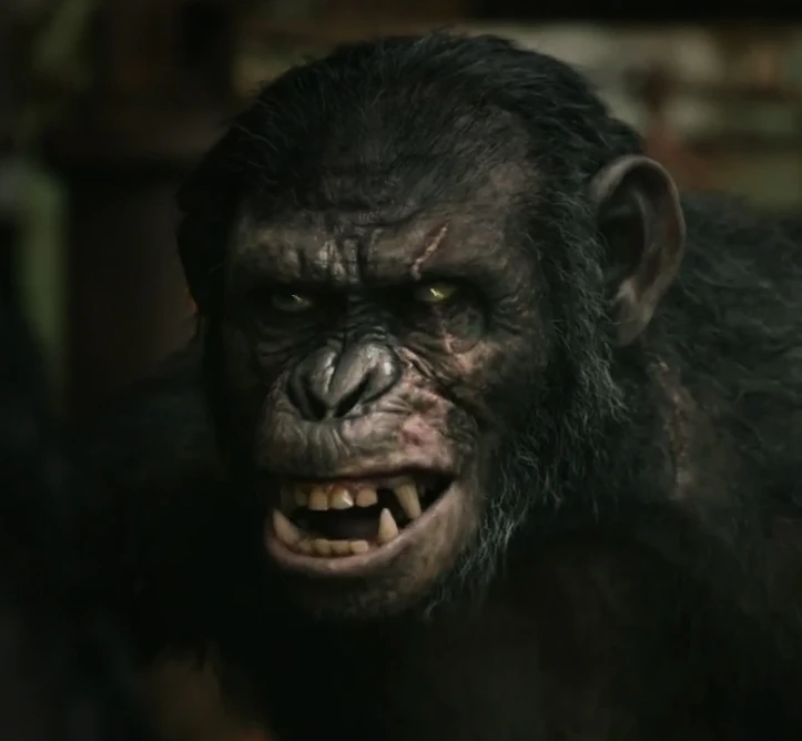 Dawn Of The Planet Of The Apes Koba Vs Caesar