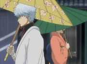 Tae Shimura | Gintama Wiki | Fandom