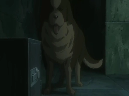 Kikuzou | Gintama Wiki | Fandom