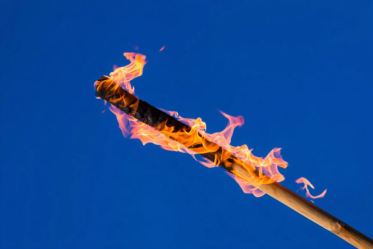 The Light Council | GIP Wiki | Fandom