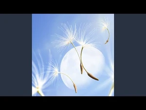 Dandelion | Seventeen Wiki | Fandom