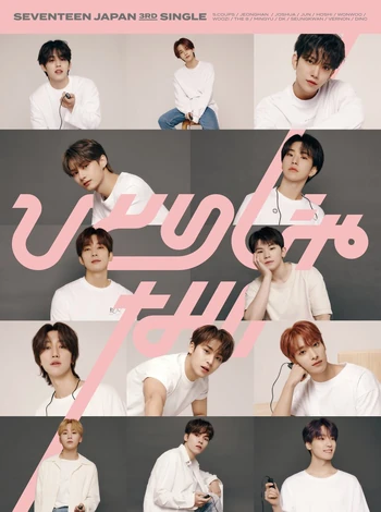 Not Alone | Seventeen Wiki | Fandom