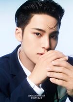 Dream/Gallery | Seventeen Wiki | Fandom
