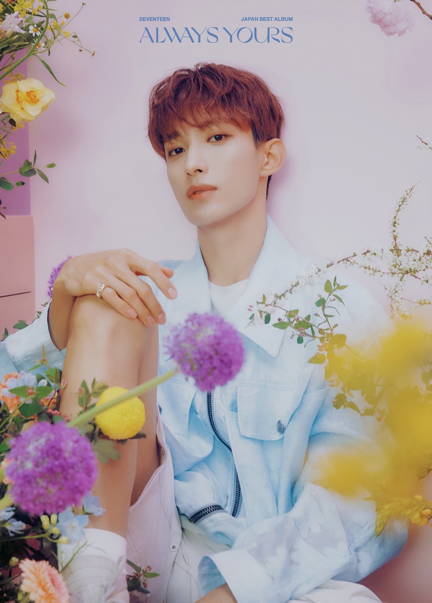DK Seventeen Wiki Fandom dk-seventeen-wiki-fandom