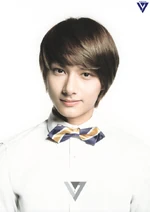 17 Carat/Gallery | Seventeen Wiki | Fandom