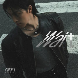 Wait | Seventeen Wiki | Fandom