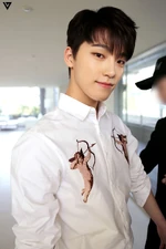 Al1/Gallery | Seventeen Wiki | Fandom