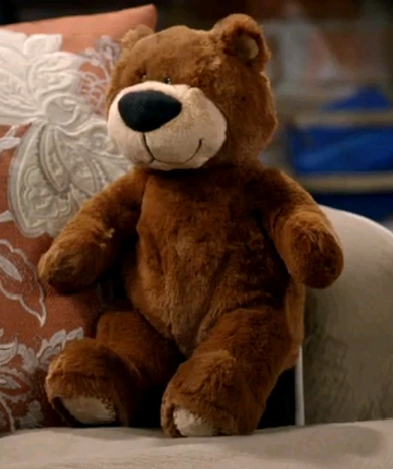 Barry The Bear | Girl Meets World Wiki | Fandom
