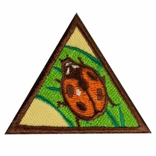 Bugs Badge | Girl Scout Wiki | Fandom