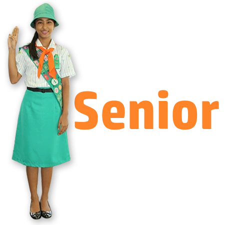 Senior Scout (Girl Scouts of Korea) | Girl Scout Wiki | Fandom