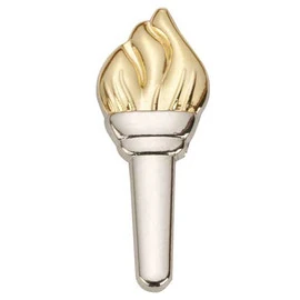 Senior Torch Award Pin (Silver & Gold) | Girl Scout Wiki | Fandom
