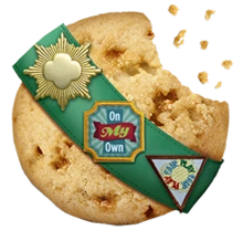 Toffee-tastic | Girl Scout Cookies Wiki | Fandom
