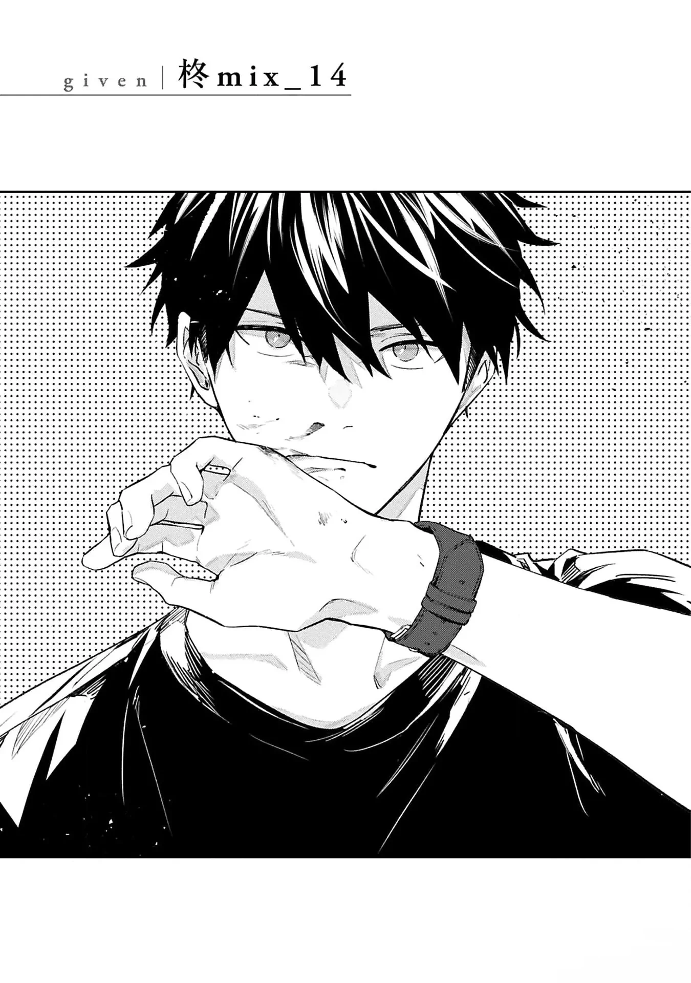 Hiragi Mix 14 | Given Wiki | Fandom