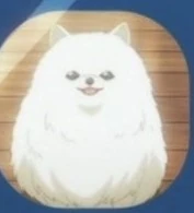 Kedama (anime)/Gallery | Given Wiki | Fandom