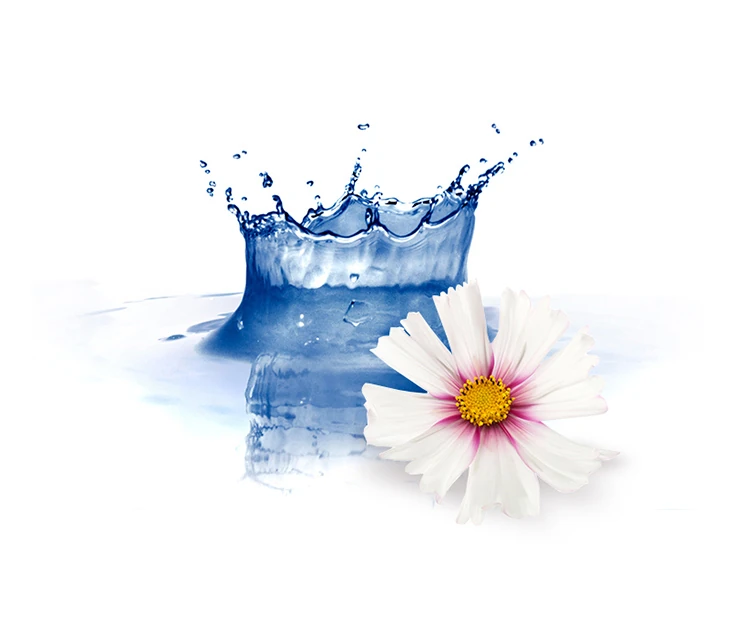 Blue Odyssey | Glade Wiki | Fandom