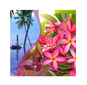 Exotic Tropical Blossoms | Glade Wiki | Fandom