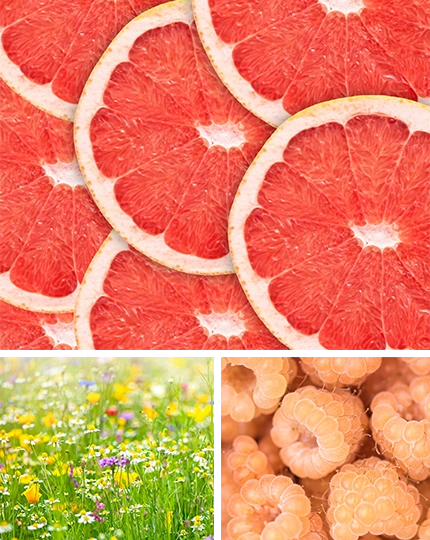 Joyful Citrus & Daisies | Glade Wiki | Fandom