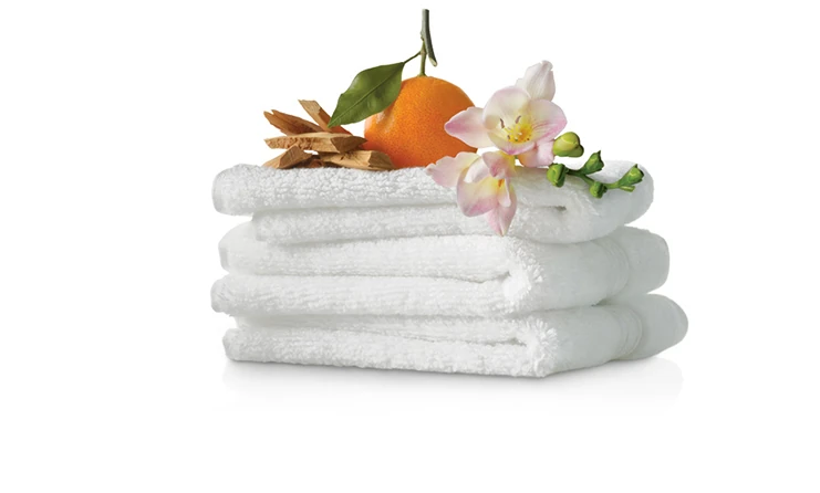 Pet Clean Scent | Glade Wiki | Fandom