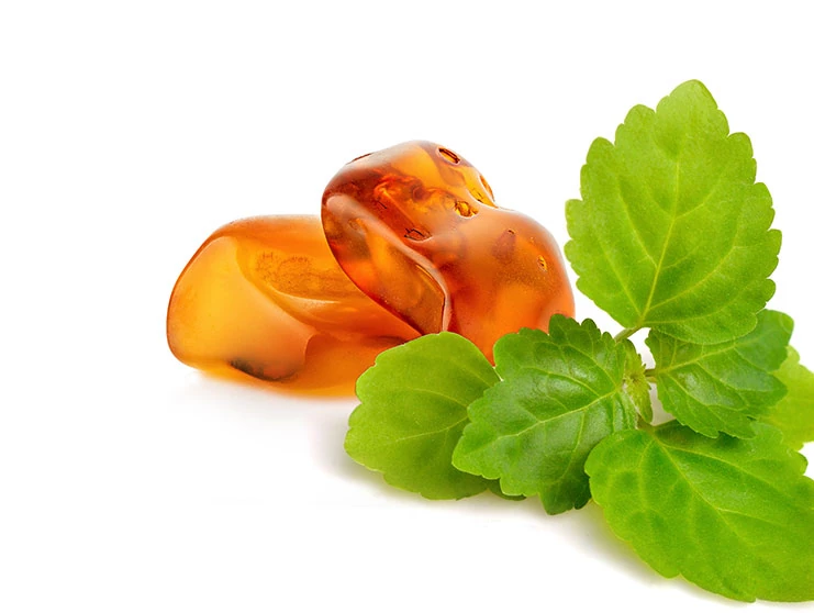 Patchouli & Amber | Glade Wiki | Fandom