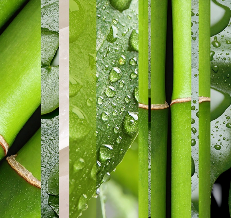 Bamboo & Waterlily Bliss | Glade Wiki | Fandom