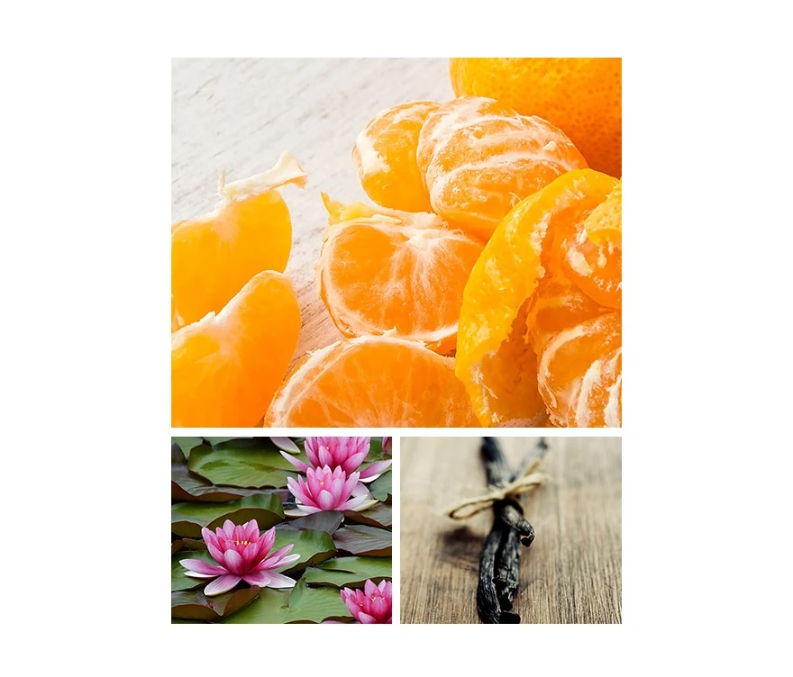 Mandarin & Mimosa | Glade Wiki | Fandom