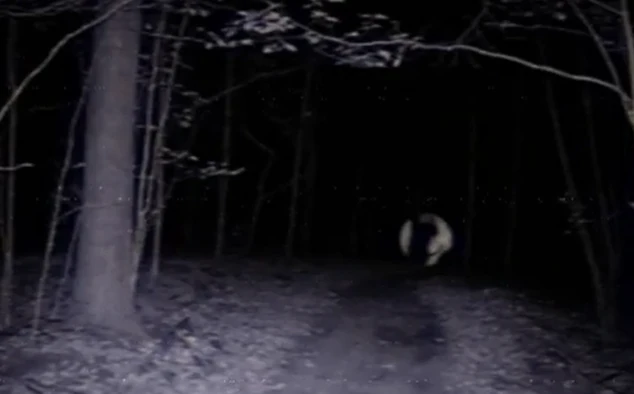 Mimic | Glagglepedia Wiki | Fandom