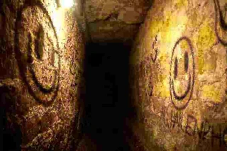 Risio | Glagglepedia Wiki | Fandom