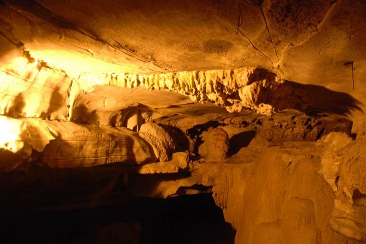 Sprongle Cavern | Glagglepedia Wiki | Fandom