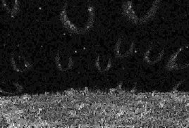 Enphosius | Glagglepedia Wiki | Fandom