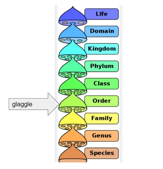 Glaggle | Glagglepedia Wiki | Fandom