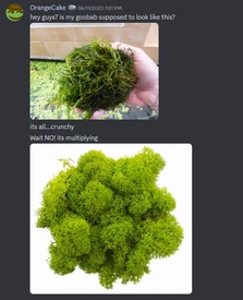 The Goobiote | Glagglepedia Wiki | Fandom