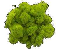 The Goobiote | Glagglepedia Wiki | Fandom