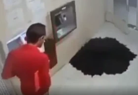 Enphosian | Glagglepedia Wiki | Fandom