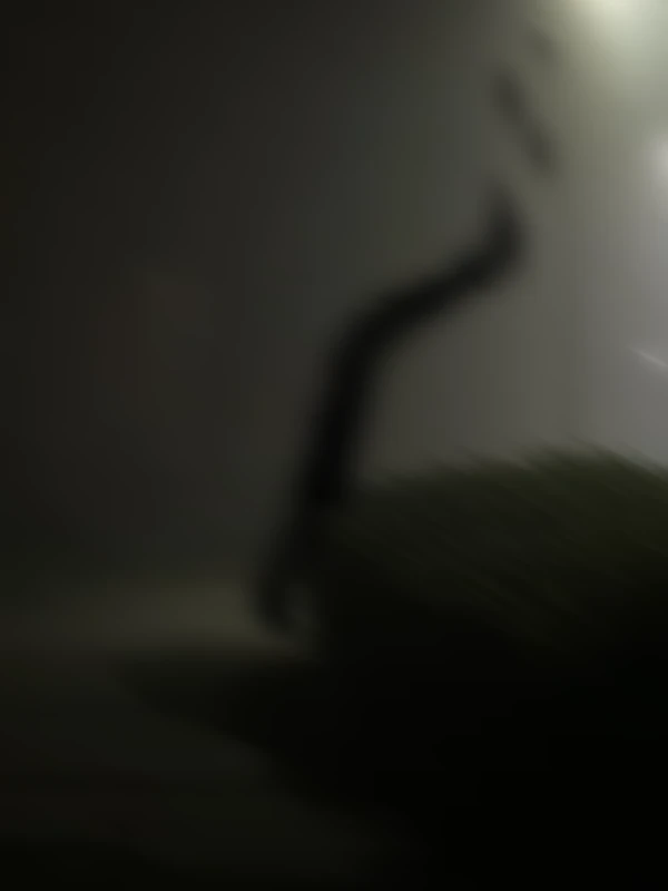 Scopophobia | Glagglepedia Wiki | Fandom