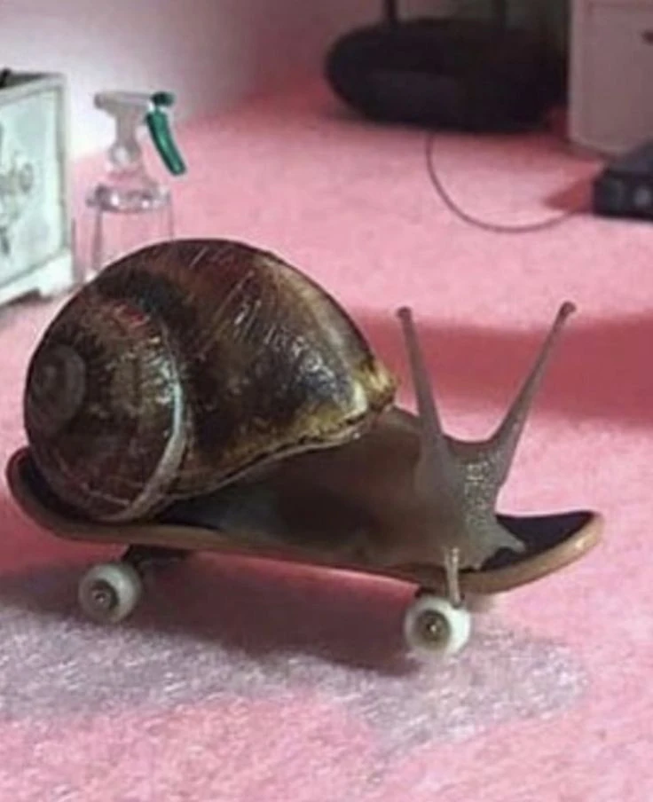 The Snail | Glagglepedia Wiki | Fandom