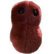 Goober | Glagglepedia Wiki | Fandom