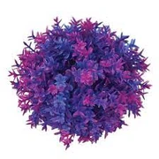 The Glaggleland Research Lab | Glagglepedia Wiki | Fandom