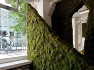 Goobabs | Glagglepedia Wiki | Fandom