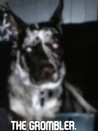 Glooberland | Glagglepedia Wiki | Fandom