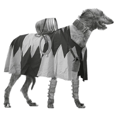 Dolf | Glimmering Coast Wiki | Fandom