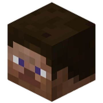 Minecraft Steve Head