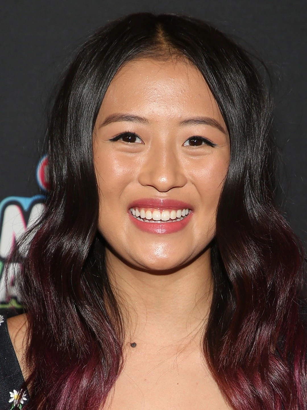 Haley Tju | Glitch Techs Wiki | Fandom