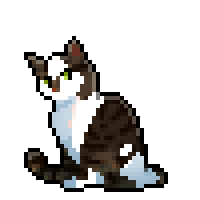 Bravepaw | GlitterClan Wiki | Fandom