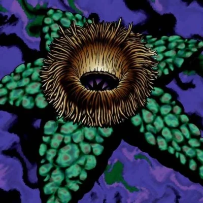 Armored Starfish | Glittersword's Variant Yugioh Ruleset Wiki | Fandom