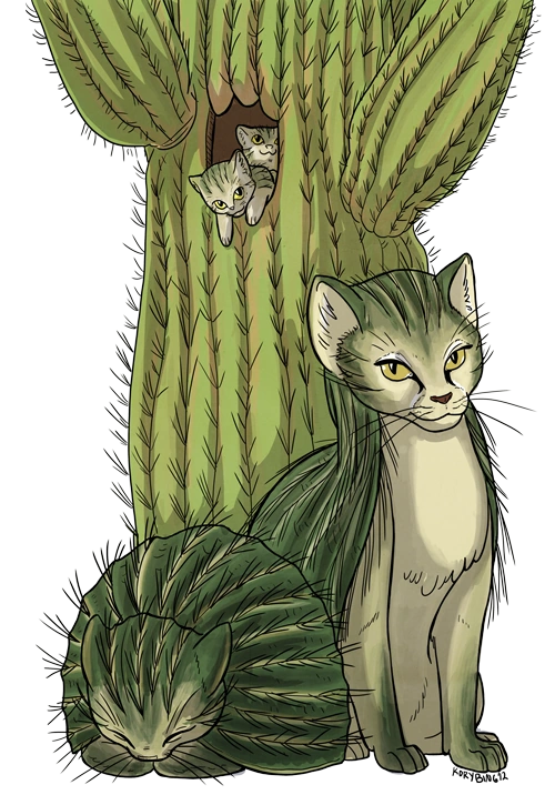 Cactus Cat | Global mythology Wiki | Fandom