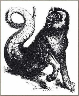Aamon | Global mythology Wiki | Fandom