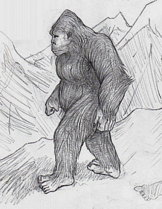 Sasquatch | Global mythology Wiki | Fandom